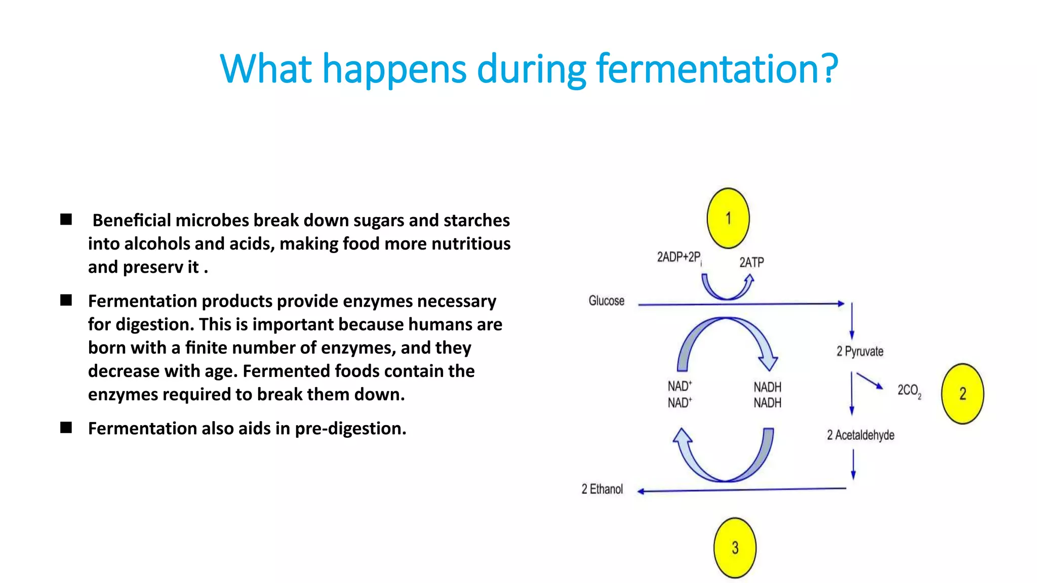 Role of microoganisms in fermentation | PPTX