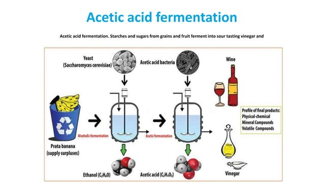 Role of microoganisms in fermentation | PPTX | Chemistry | Science