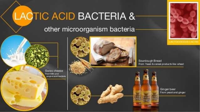 Role of microoganisms in fermentation | PPTX | Chemistry | Science