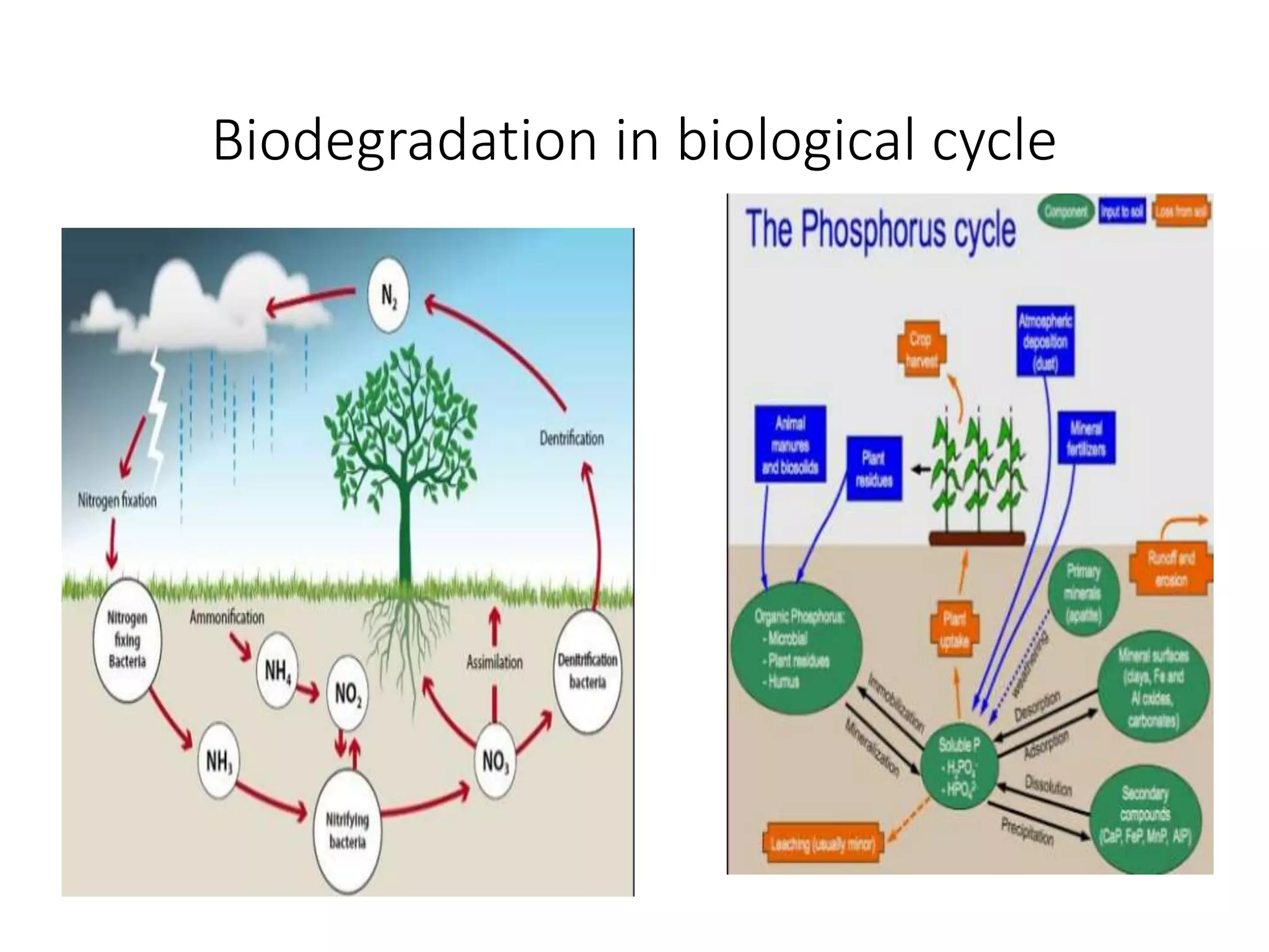 Role of microorganism in biodegradation | PPTX