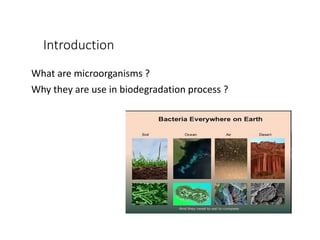 Role of microorganism in biodegradation | PPTX