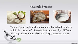 Role of Microorganism in Human Welfare.pptx