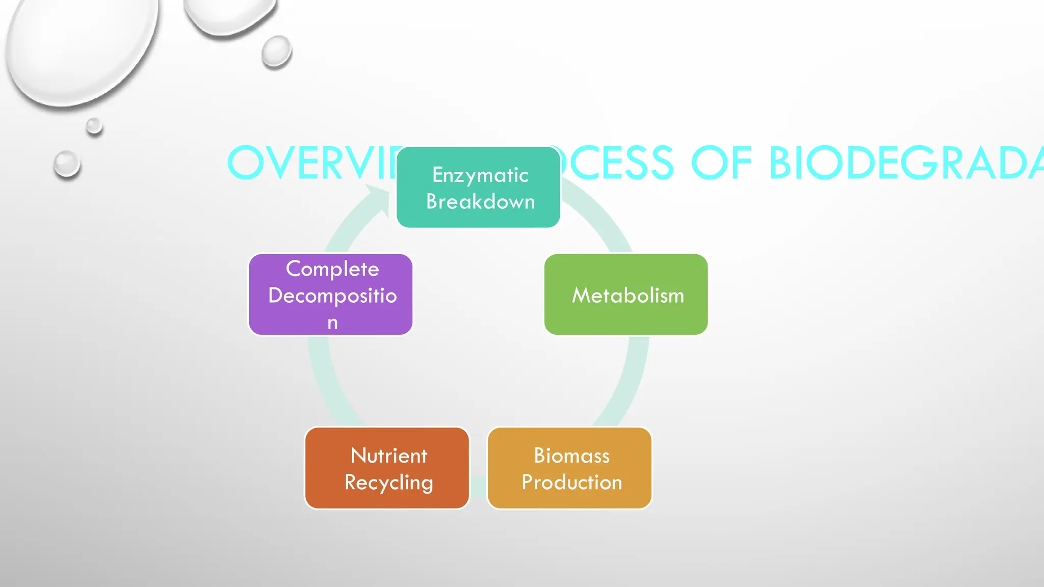 Role of microorganisms in biodegradation-.pptx