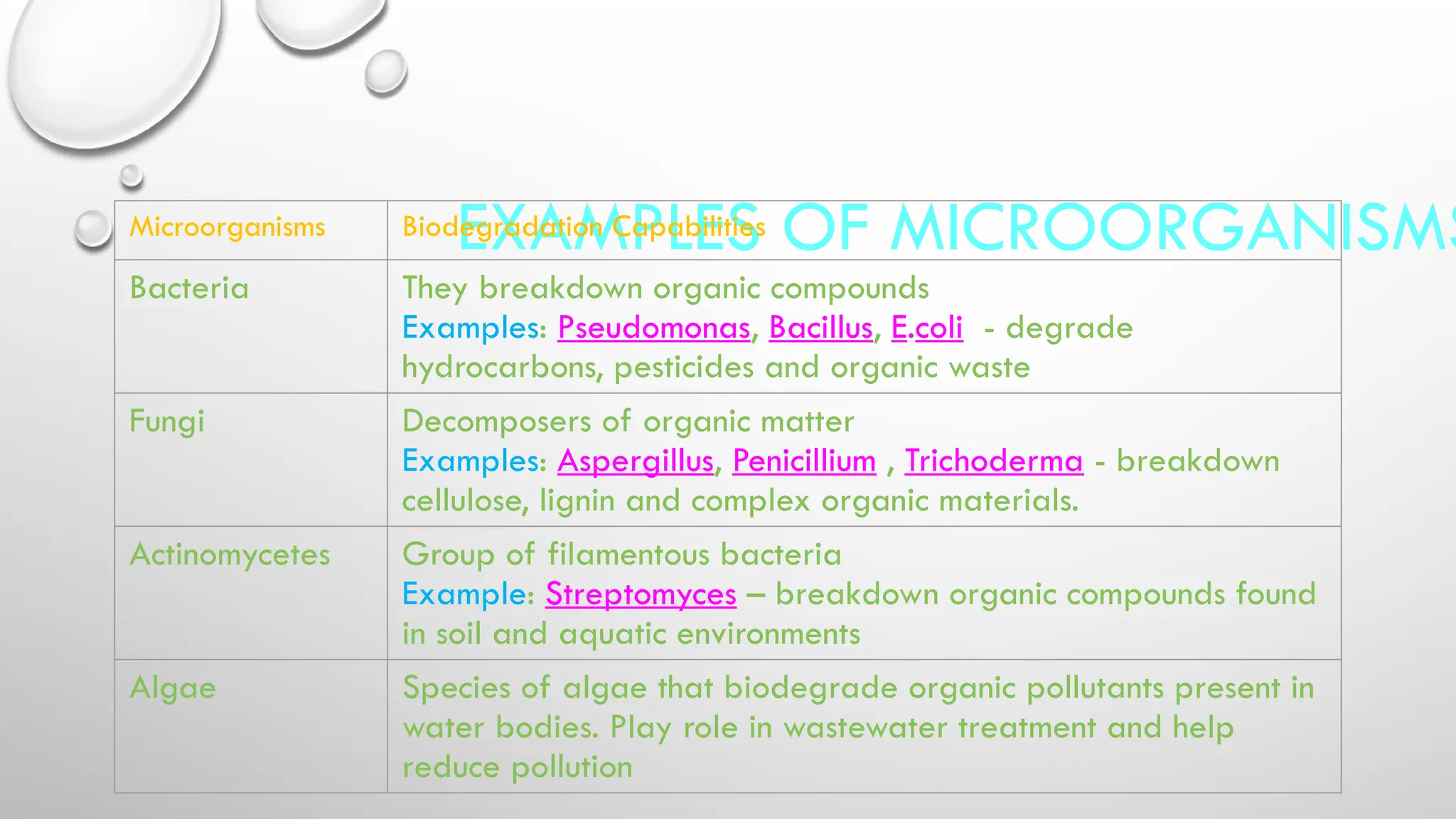 Role of microorganisms in biodegradation-.pptx