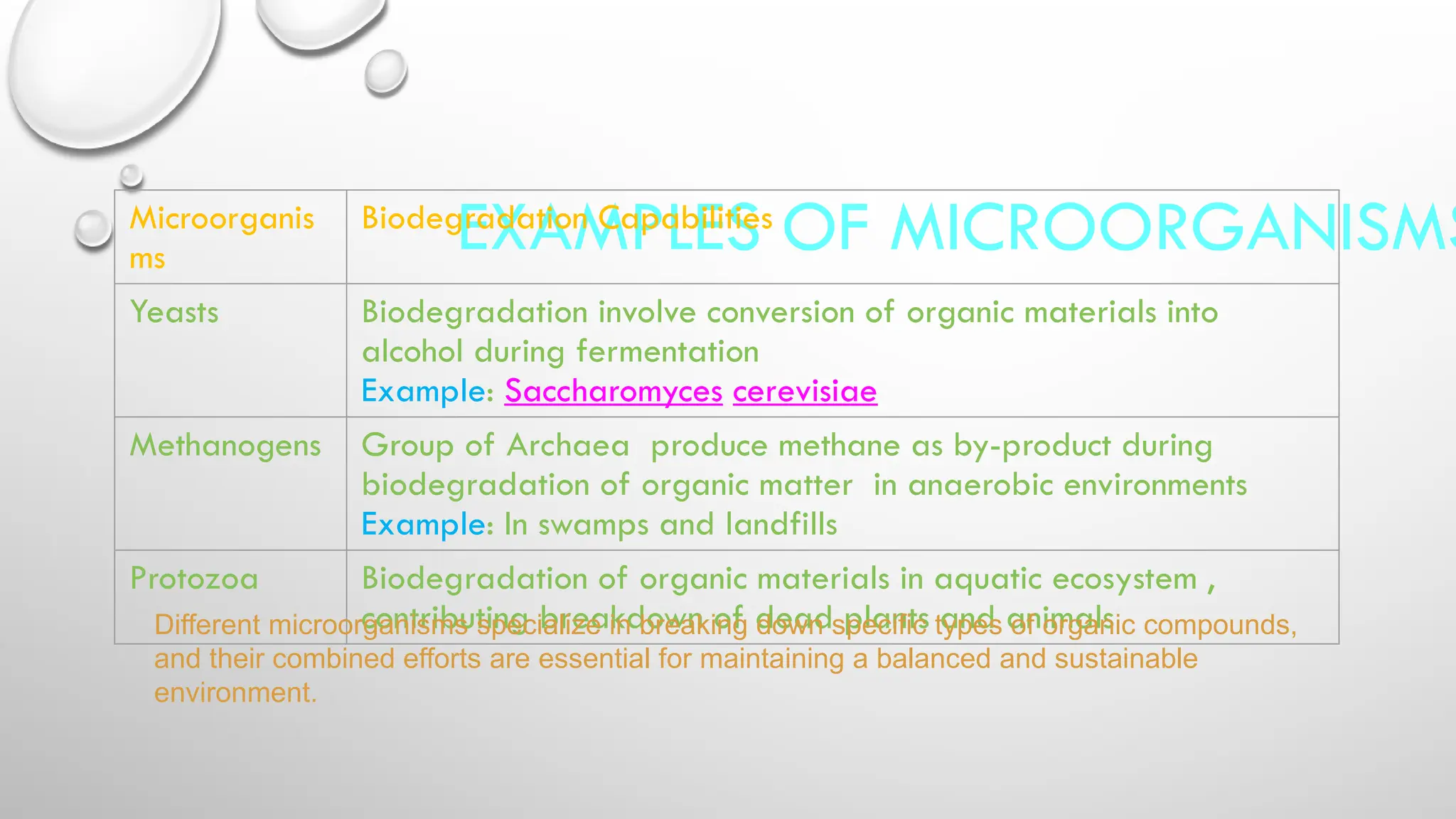 Role of microorganisms in biodegradation-.pptx