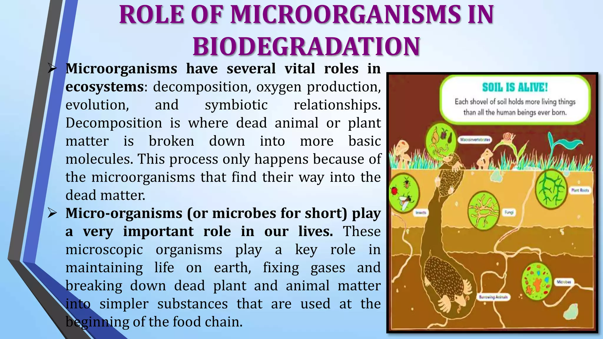 Role of microorganisms in Biodegradation of Organic Waste | PPTX