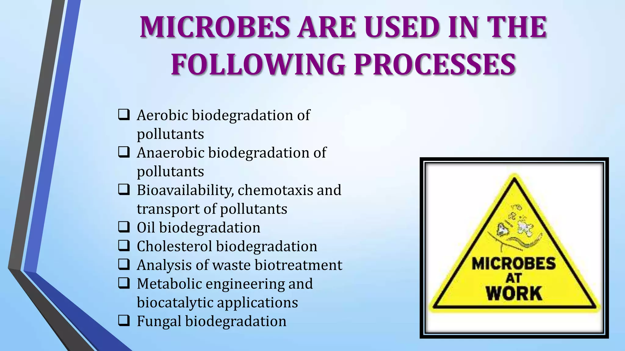 Role of microorganisms in Biodegradation of Organic Waste | PPTX