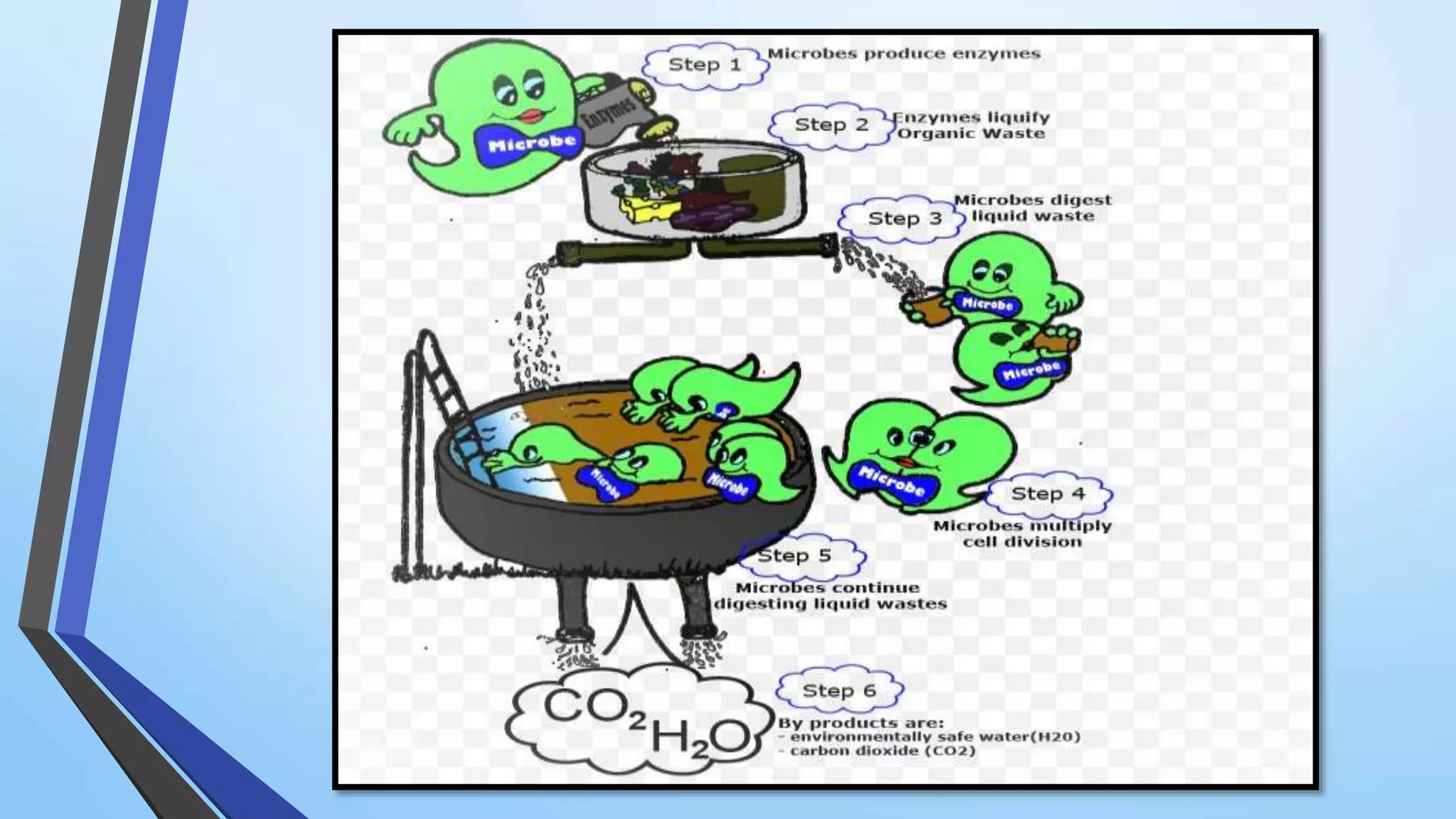 Role of microorganisms in Biodegradation of Organic Waste | PPTX