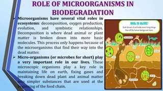 Role of microorganisms in Biodegradation of Organic Waste | PPTX