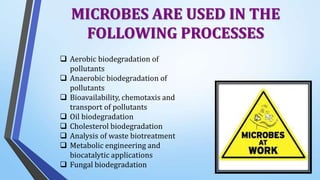 Role of microorganisms in Biodegradation of Organic Waste | PPTX