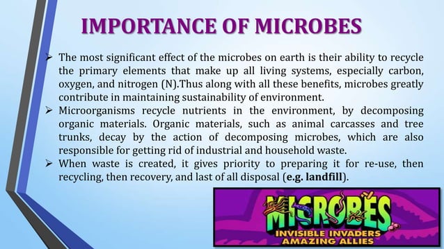 Role of microorganisms in Biodegradation of Organic Waste | PPTX