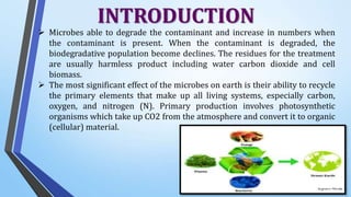 Role of microorganisms in Biodegradation of Organic Waste | PPTX