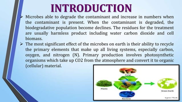 Role of microorganisms in Biodegradation of Organic Waste | PPTX