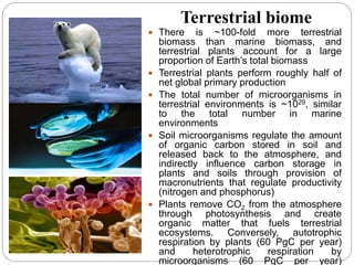 Role of microorganisms in climate change | PPTX