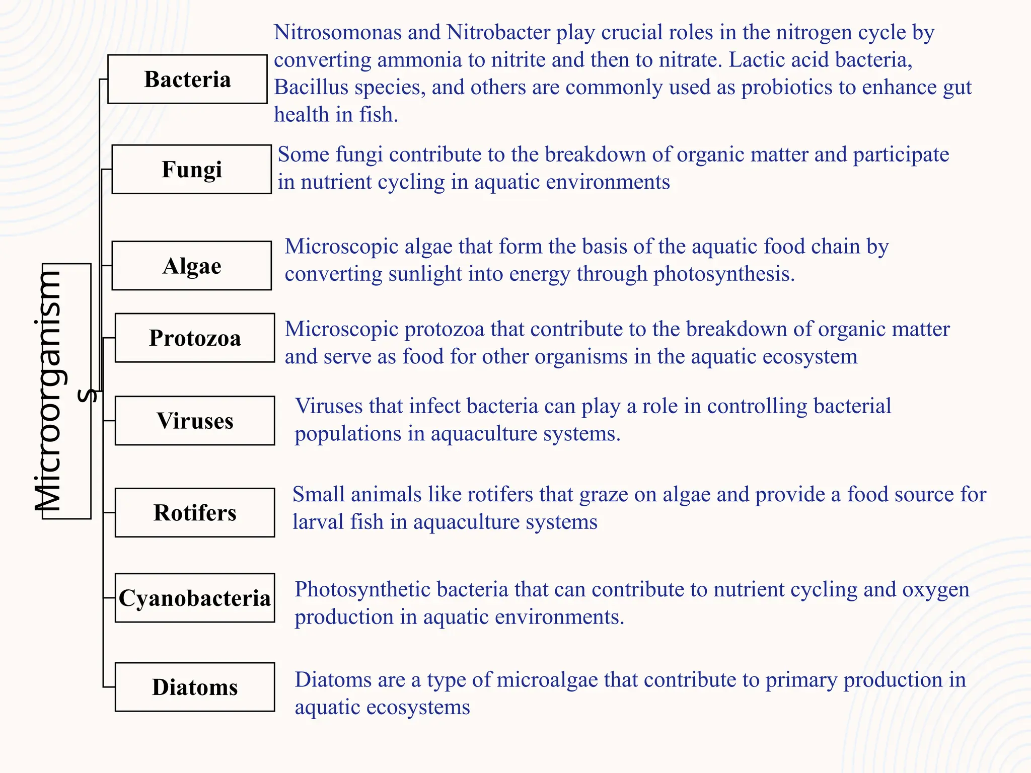 Role of microorganisms in fish production | PPTX