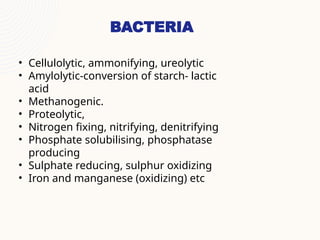 Role of microorganisms in fish production.pptx