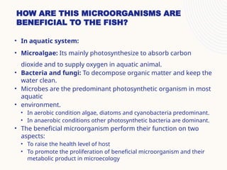 Role of microorganisms in fish production.pptx