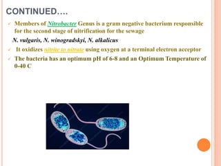 Role of Microorganisms in Sewage Treatment by Usama Younas | PPT