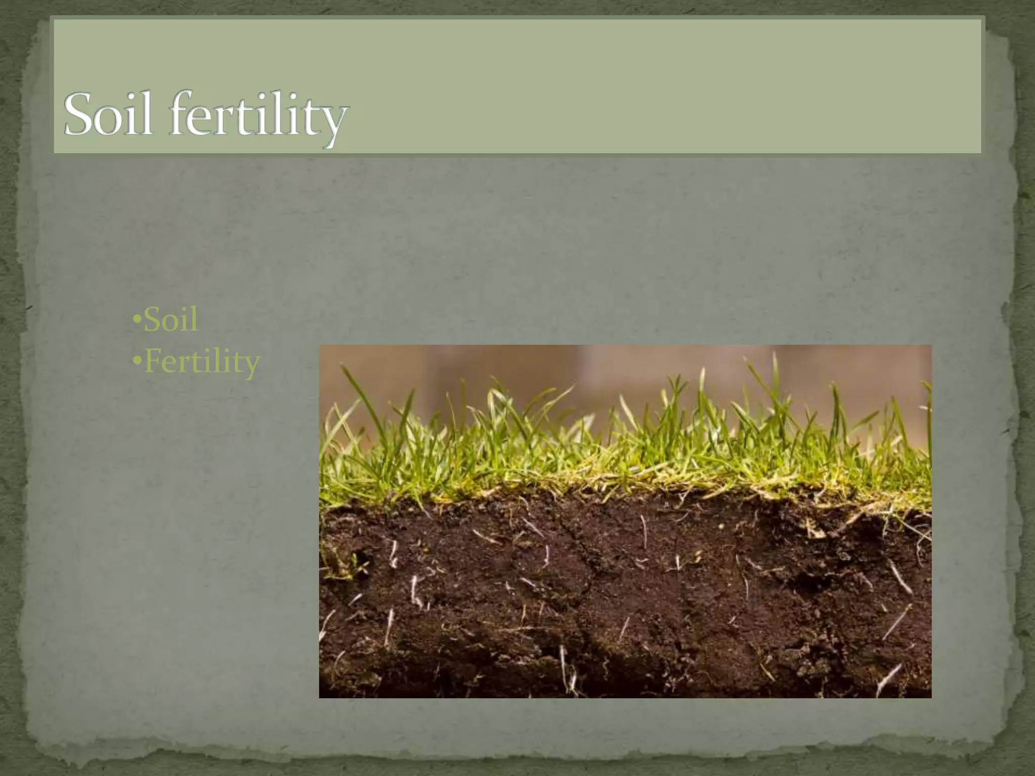 Role of microorganisms in soil fertility | PPTX
