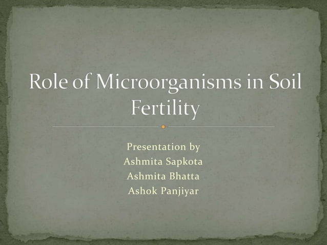 Role of microorganisms in soil fertility | PPTX | Nutrition | Healthy ...