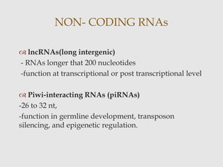 Role of micro rna in oncogenesis | PPT