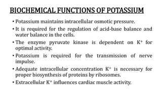 ROLE OF MINERALS.pptx