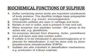 ROLE OF MINERALS.pptx