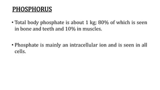 ROLE OF MINERALS.pptx
