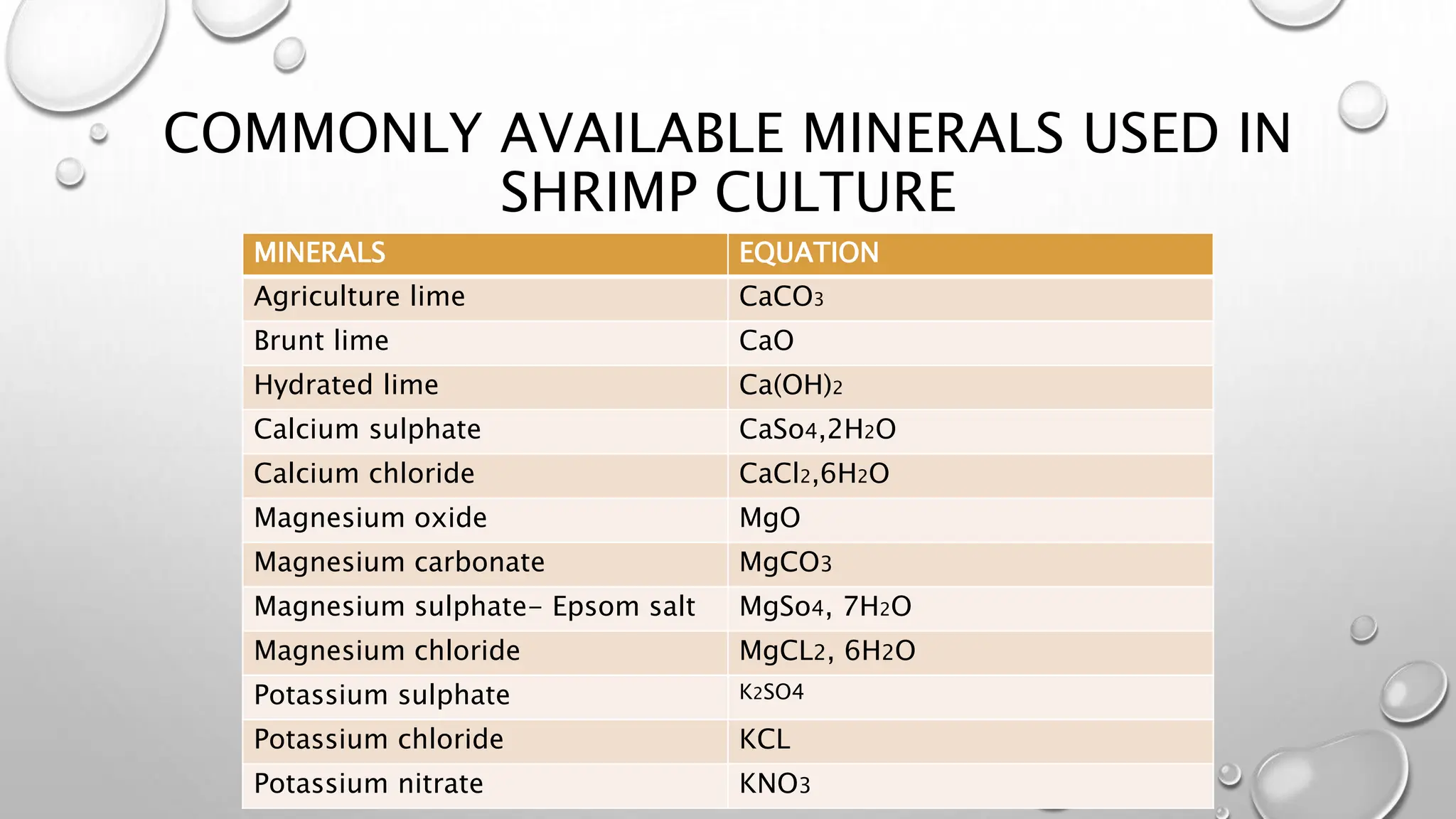 Understanding the Crucial Role of Minerals in L. vannamei Culture | PPTX