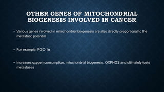 Role of mitochondrial and hem e function in lung cancer bioenergetics ...