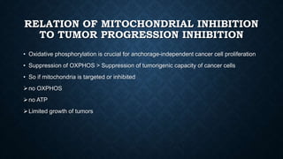 Role of mitochondrial and hem e function in lung cancer bioenergetics ...
