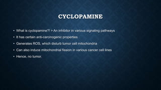 Role of mitochondrial and hem e function in lung cancer bioenergetics ...