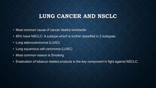 Role of mitochondrial and hem e function in lung cancer bioenergetics ...