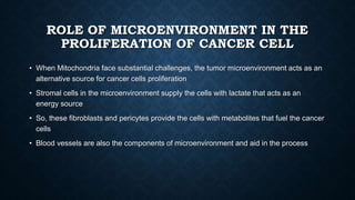 Role of mitochondrial and hem e function in lung cancer bioenergetics ...