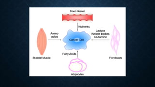 Role of mitochondrial and hem e function in lung cancer bioenergetics ...
