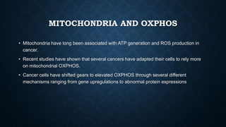 Role of mitochondrial and hem e function in lung cancer bioenergetics ...