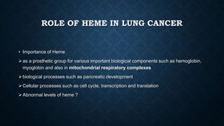 Role of mitochondrial and hem e function in lung cancer bioenergetics ...