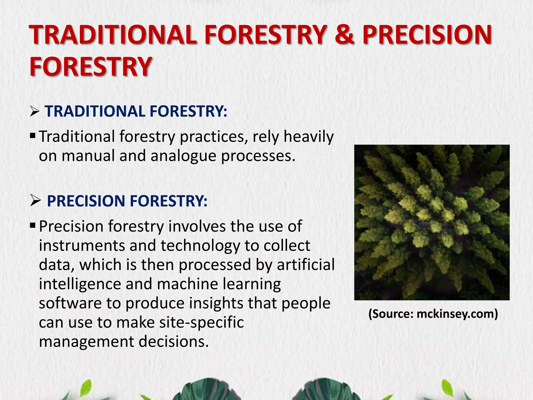 Role of Modern Technologies in Forestry | PPTX