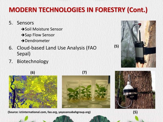 Role of Modern Technologies in Forestry | PPTX