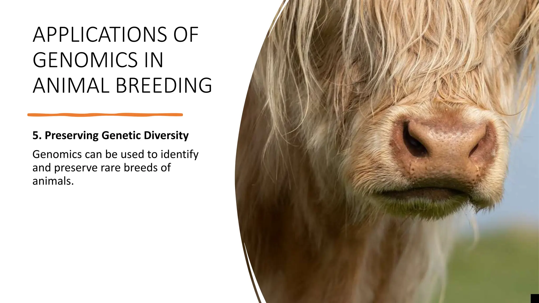 Role of Modren Genomics in Animal Productions.pptx
