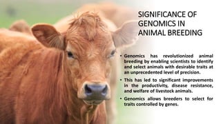 Role of Modren Genomics in Animal Productions.pptx
