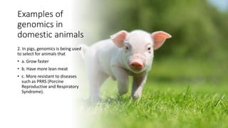 Role of Modren Genomics in Animal Productions.pptx