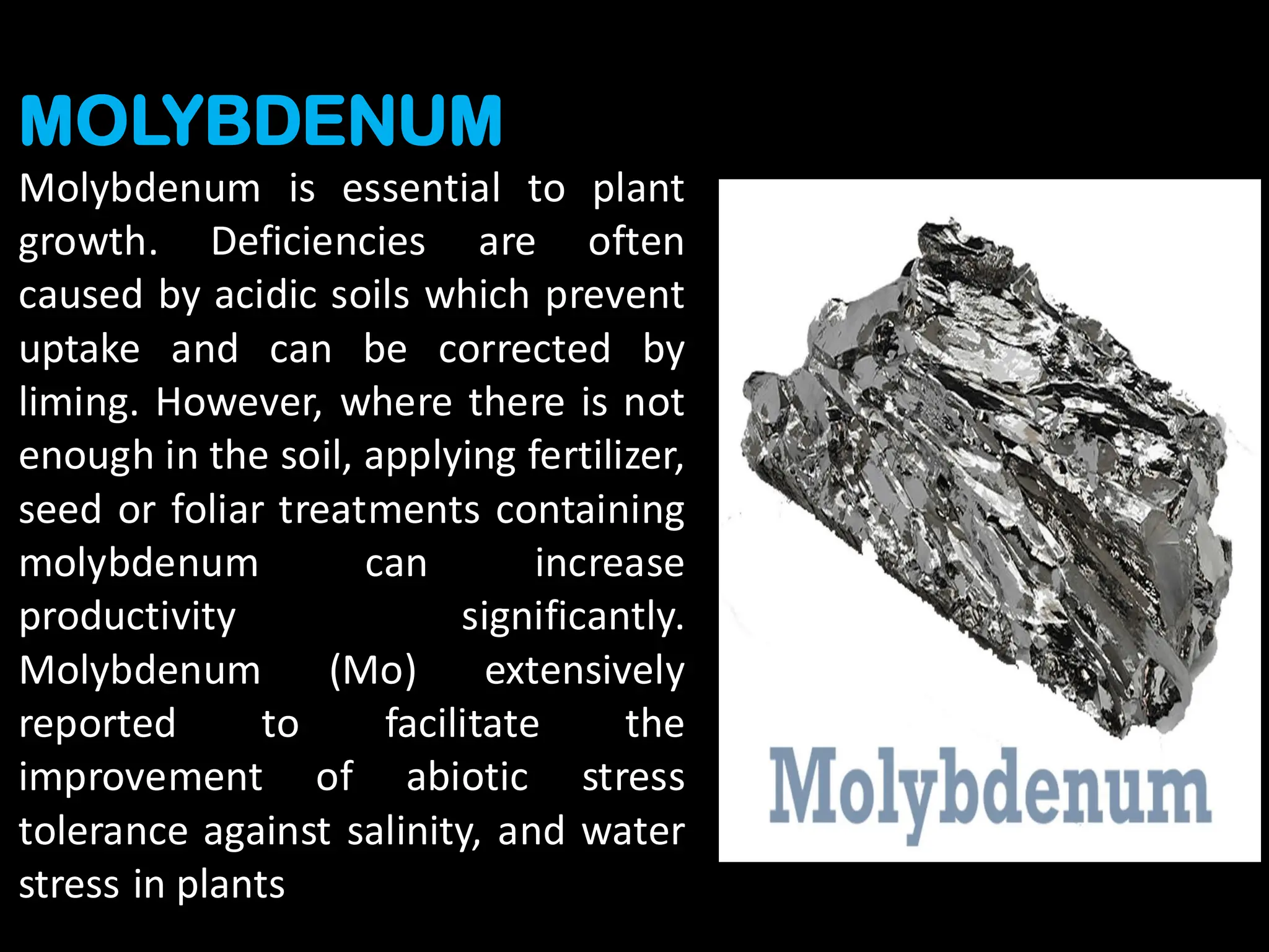 molybdenum uses in agriculture