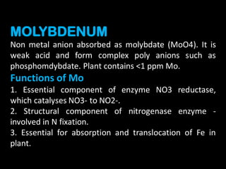 Role_of_Molybdenum_in_Agriculture_Production_1690726754.pdf