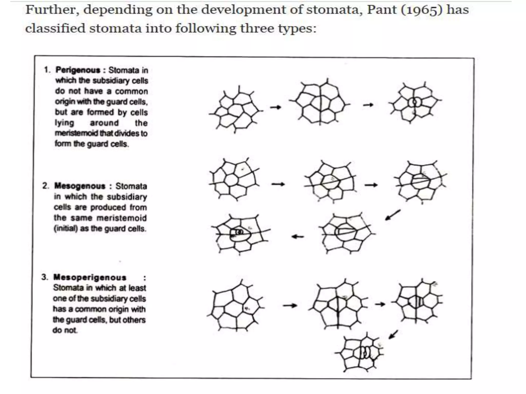 Role of morphology in plant classification | PPTX