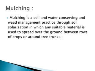 Role of mulching and solarization in weed management | PPTX