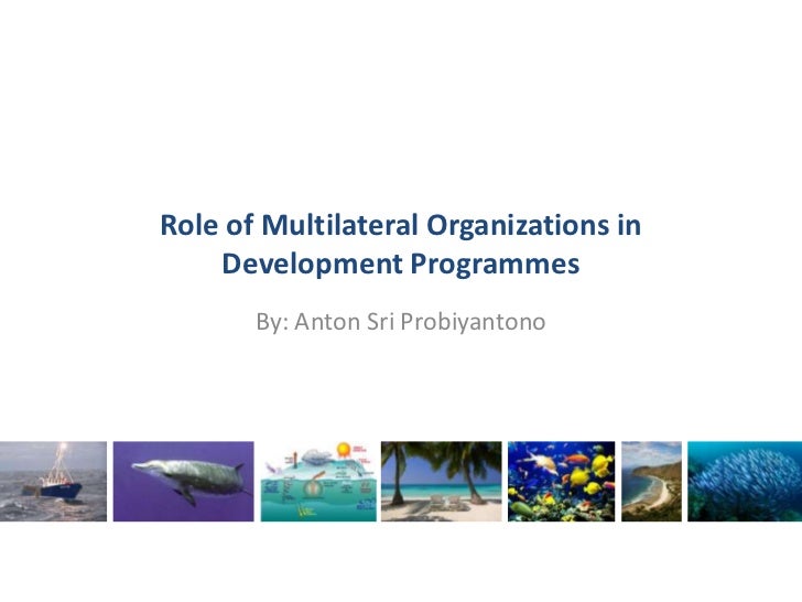 Role of multilateral org in development programmes