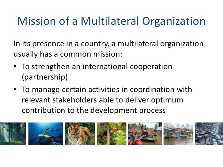 Role of multilateral org in development programmes