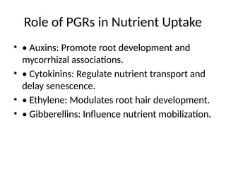 Role_of_Mycorrhiza_Root_Exudates_PGRs.pptx