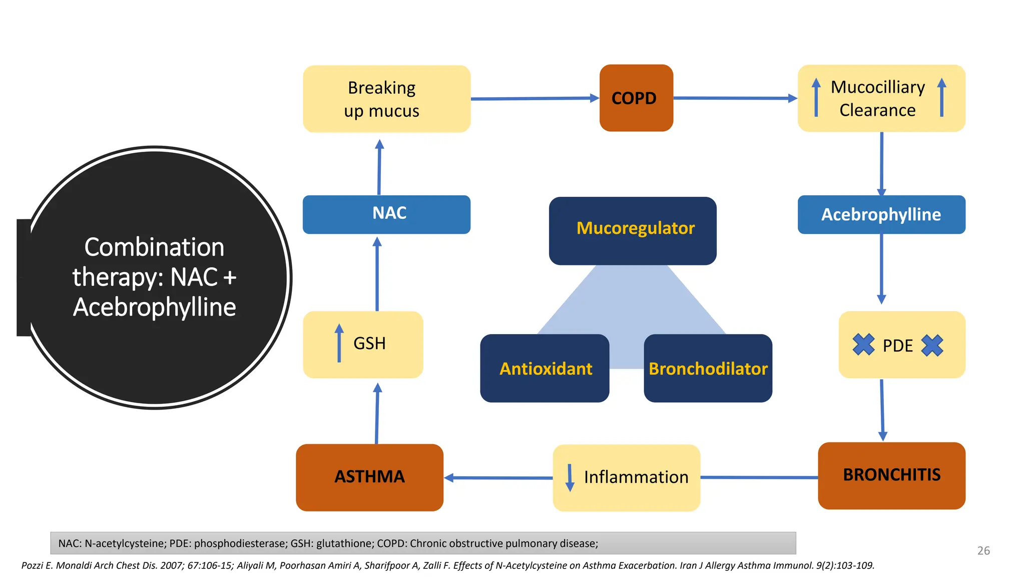 Role of NAC + Acebrophylline in OAD Management final.pptx